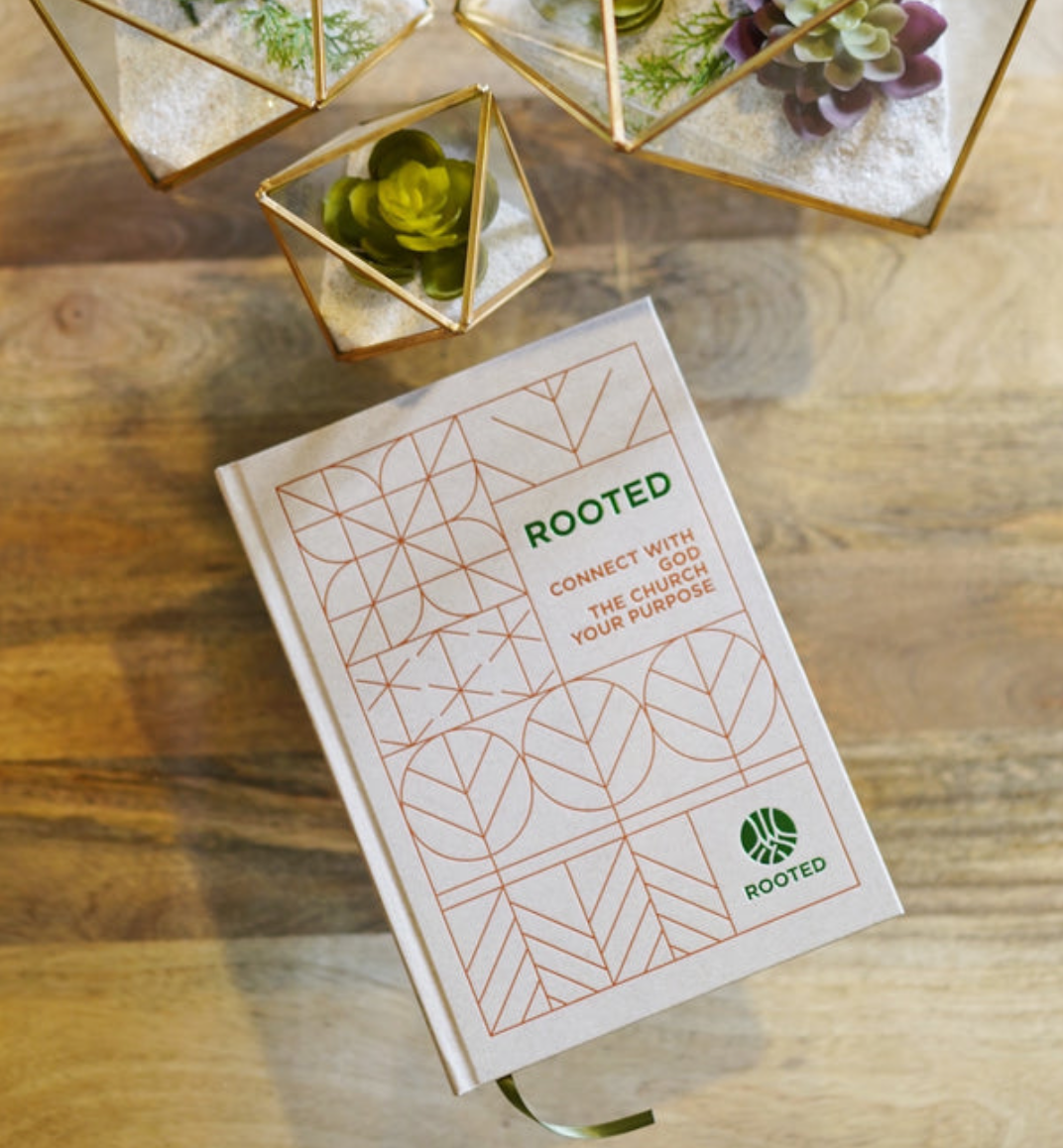Rooted Workbook – Fresh Life Store